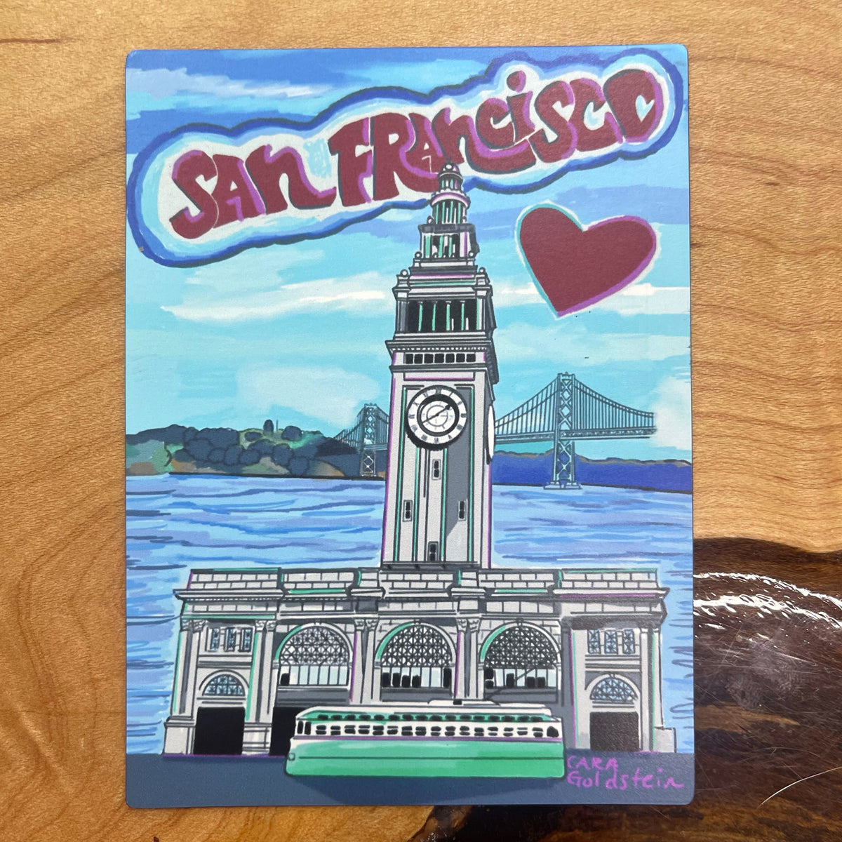 Cara Goldstein Magnets — ImagiKnit