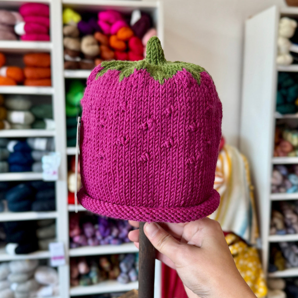 Kid's Fruit Cap Kit — ImagiKnit