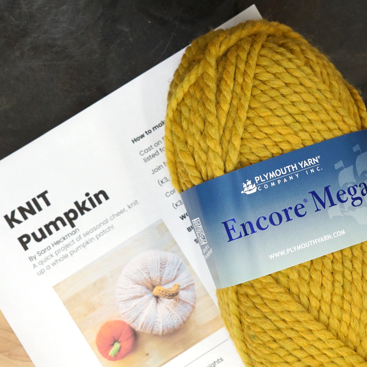 Pumpkin Kit - Encore Mega — ImagiKnit