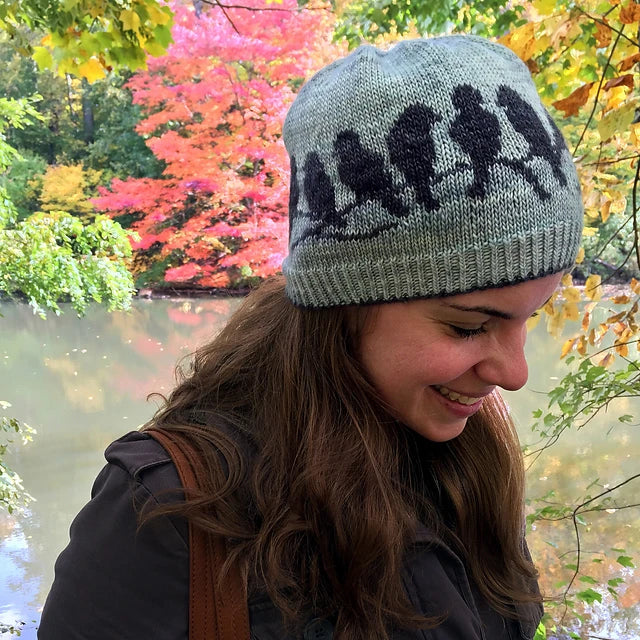 Passerine Hat PDF — ImagiKnit