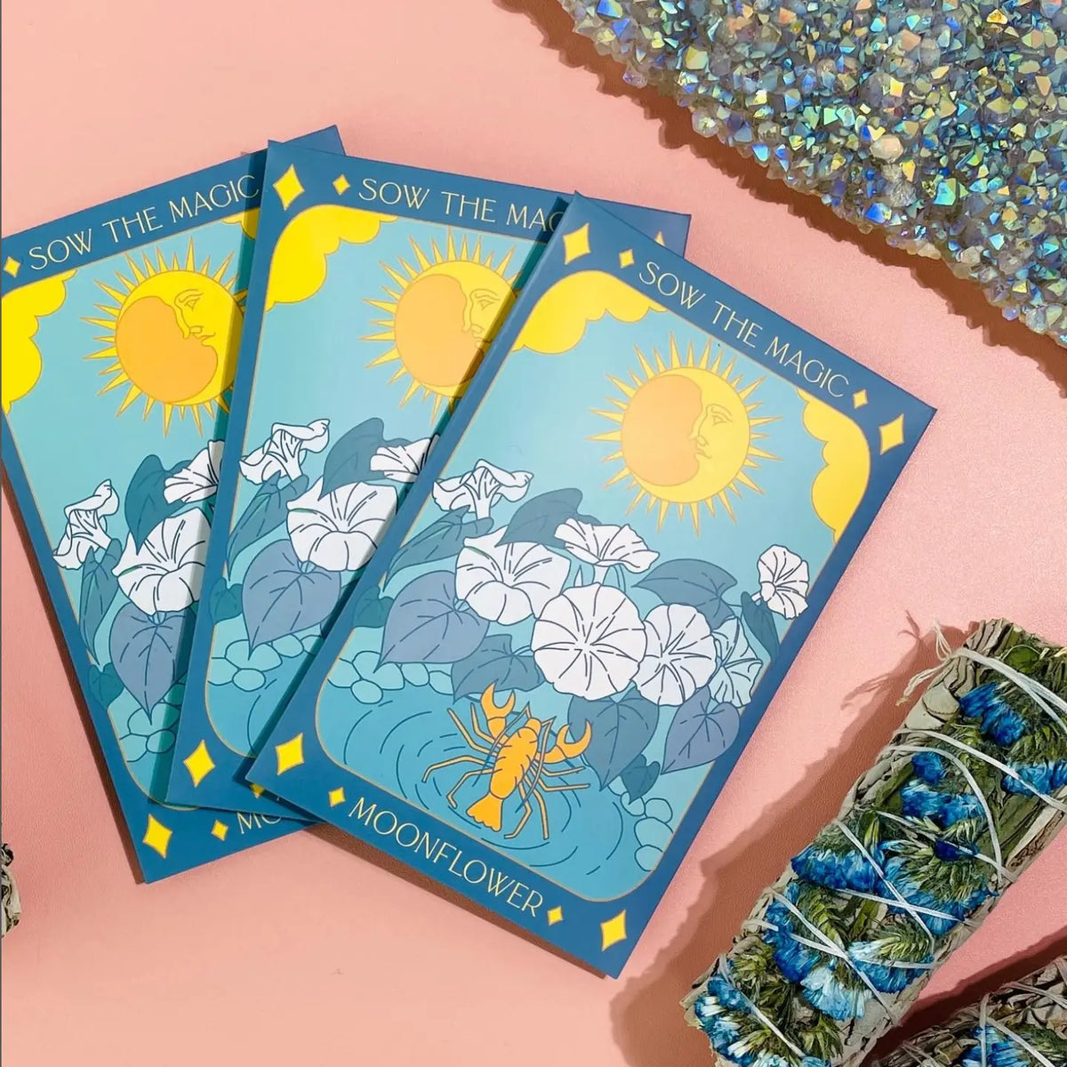 Sow the Magic Seed Packets — ImagiKnit